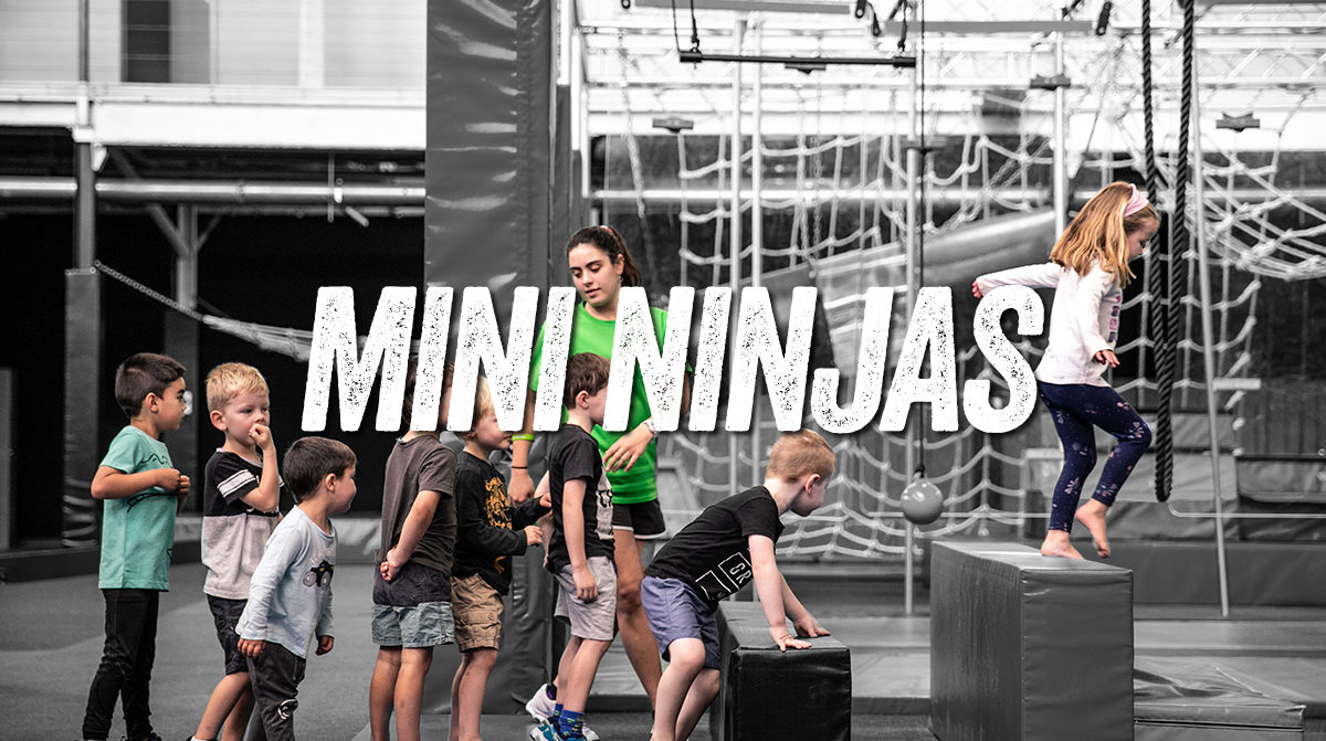 Portfolio Archive | Page 2 of 4 | Ninja Parc